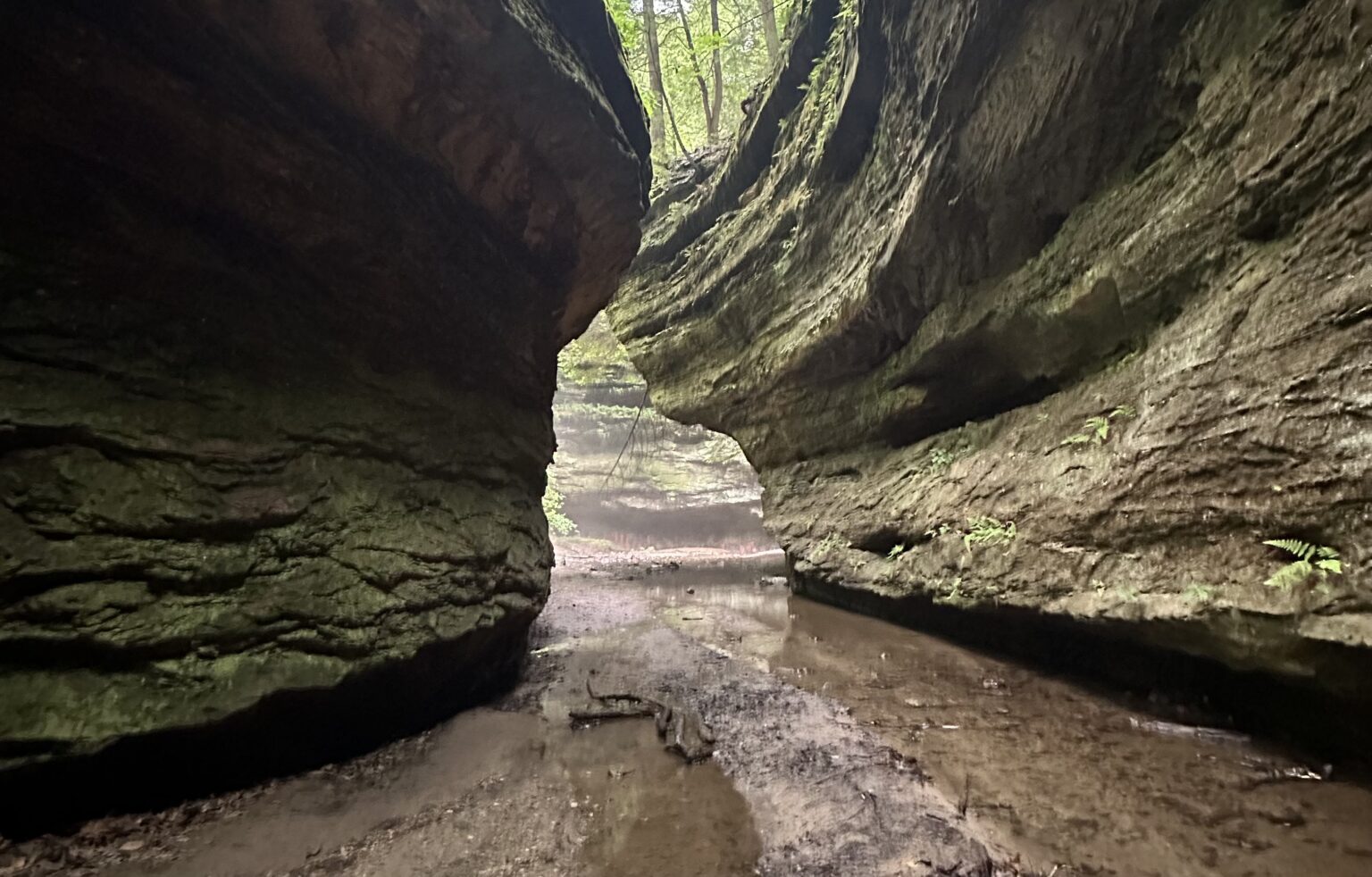 The Complete Guide To Exploring Turkey Run State Park