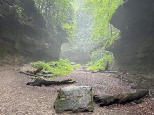 The Complete Guide To Exploring Turkey Run State Park